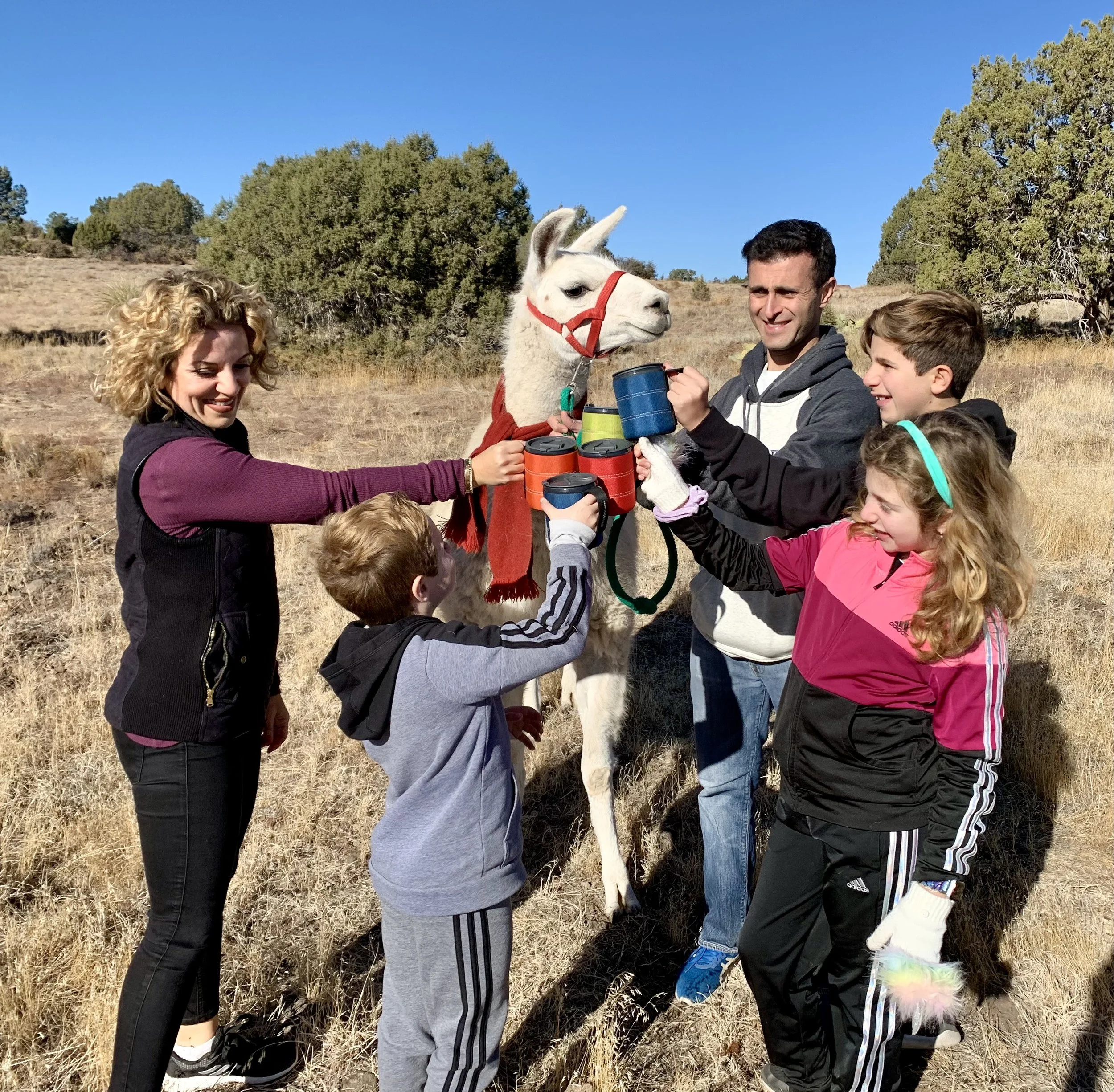 Services 1 — Arizona Backcountry Llamas