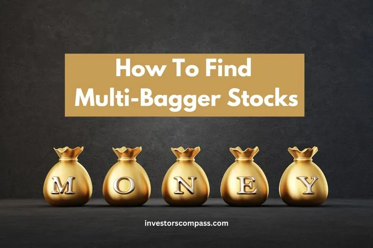 How to Find Multibagger Stocks: Historical Lessons and Screening Criteria — Investor's Compass