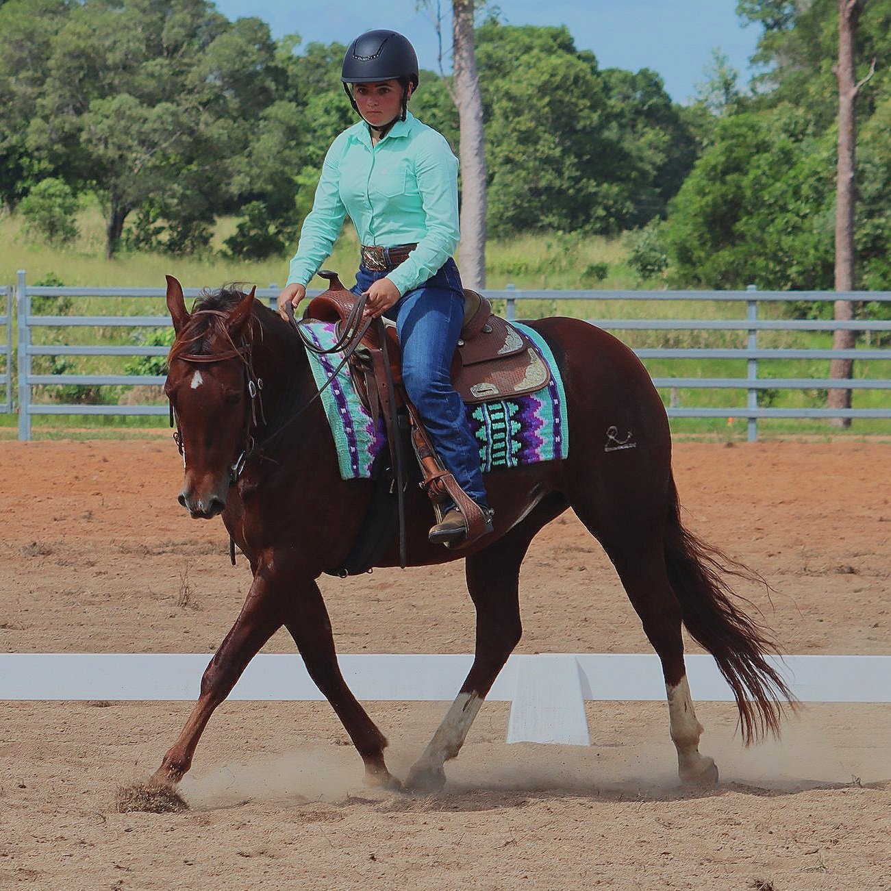 What to Wear at a Western Dressage Competition — The Roan Pony