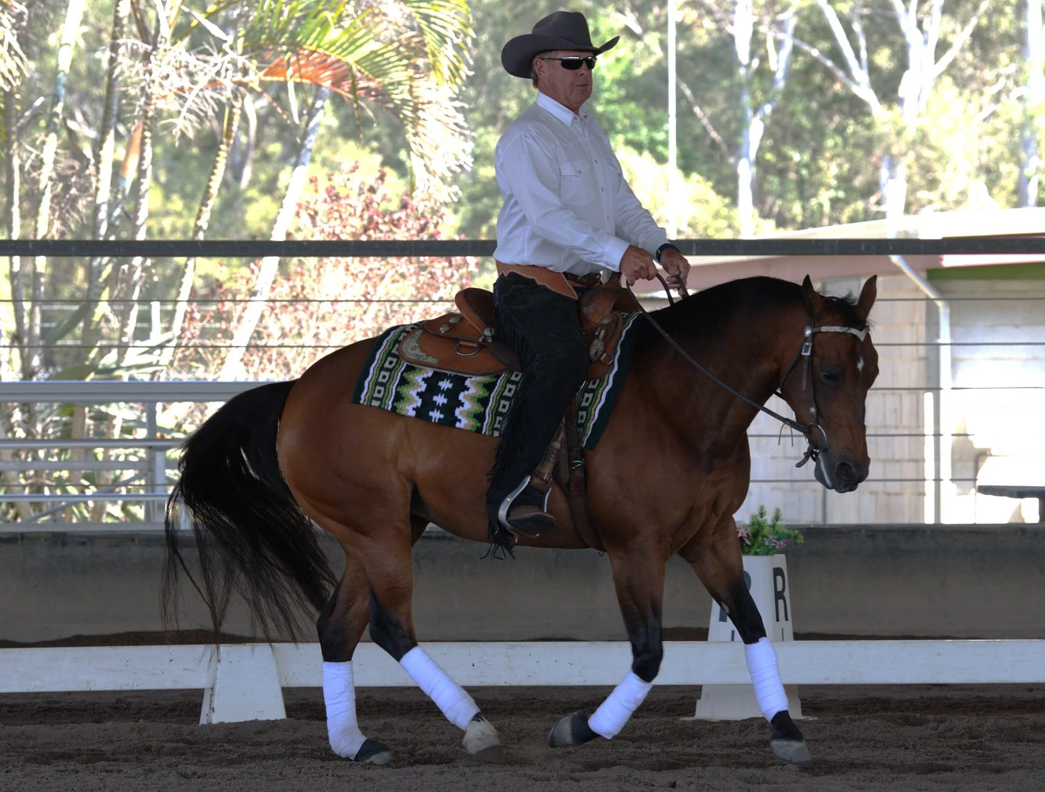 What to Wear at a Western Dressage Competition — The Roan Pony