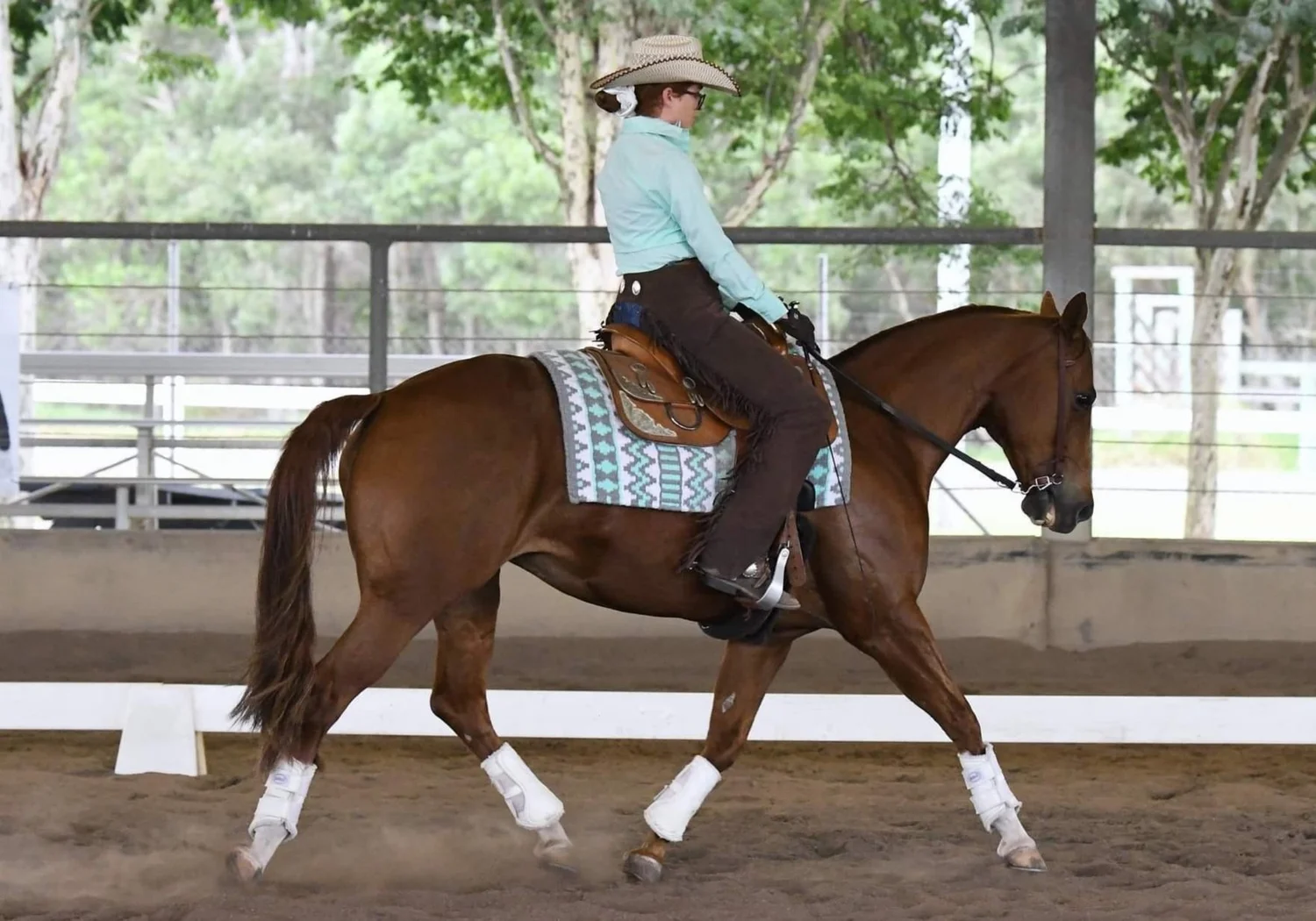 What to Wear at a Western Dressage Competition — The Roan Pony