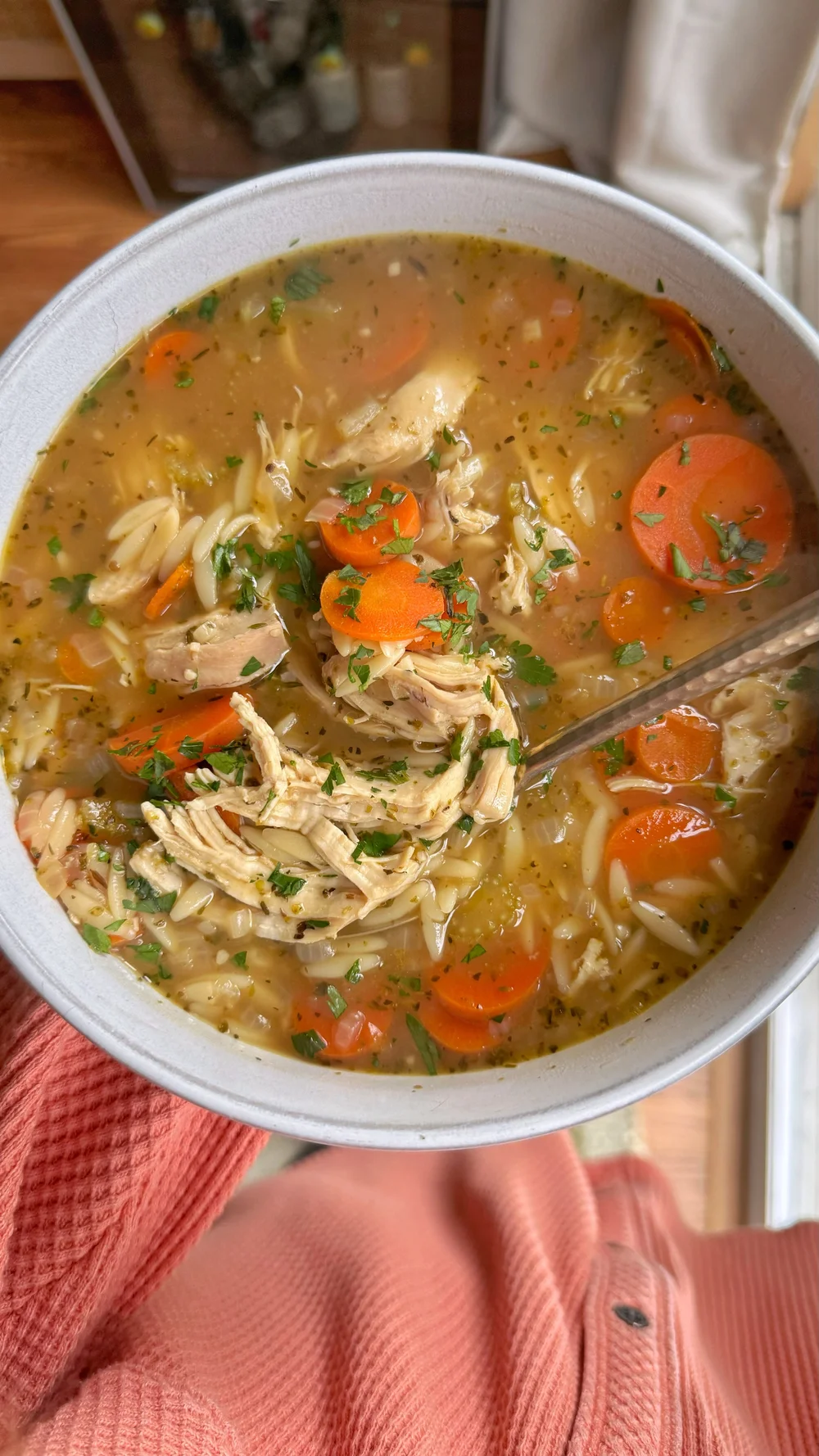 Lemon Chicken and Orzo Soup — Cailee Eats