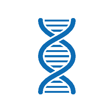 The Consortium — ICoNS