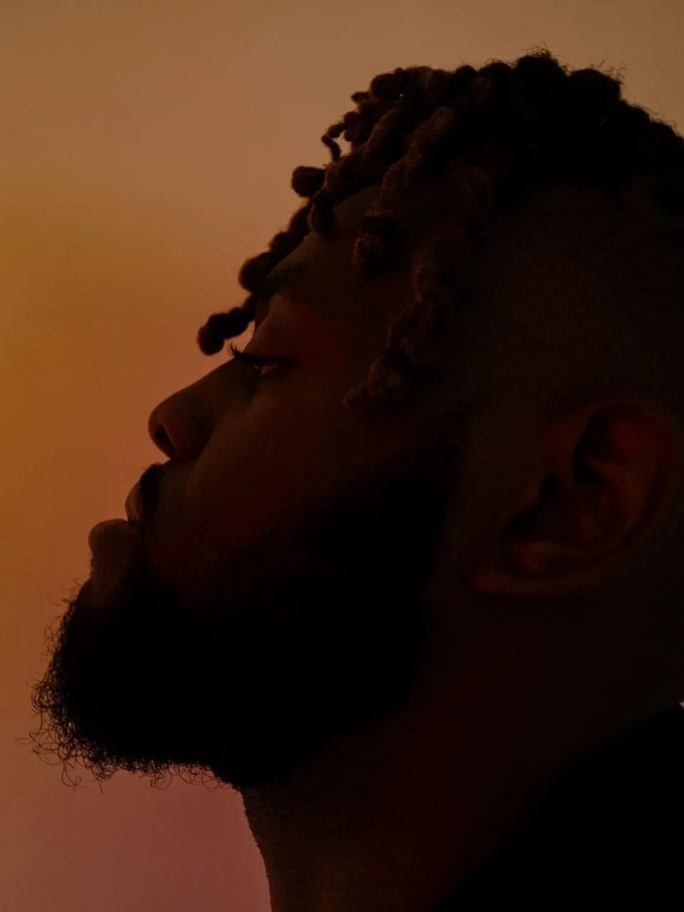 ASHLEY HENRY | OFFICIAL WEBSITE