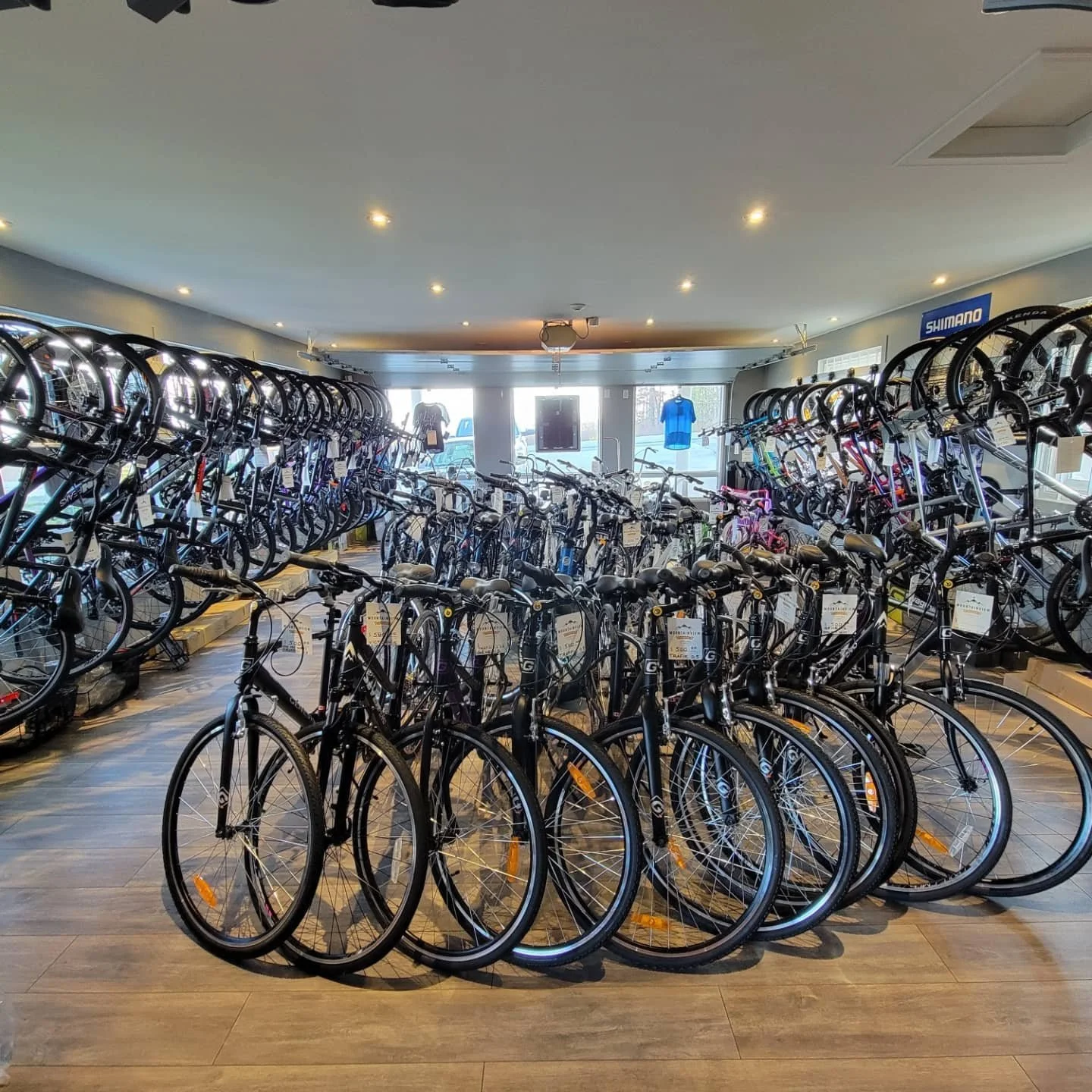 Discover Your Perfect Bike at Beamsville's Best Bike Shop ...