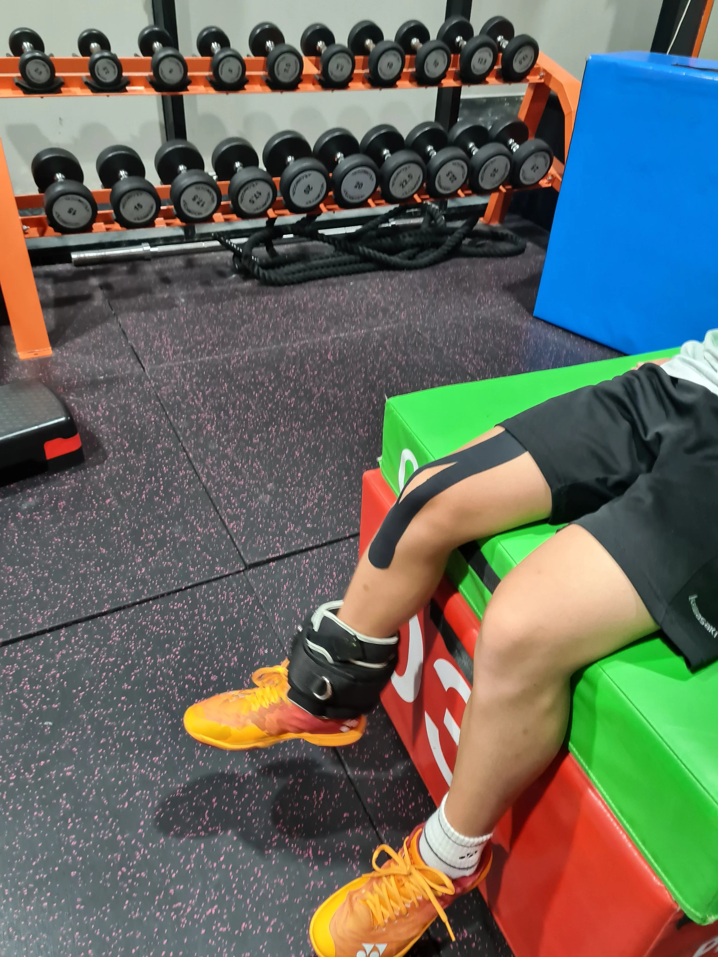 Aegis Exercise Physiology