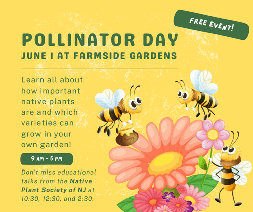 Pollinator Day — Farmside Gardens