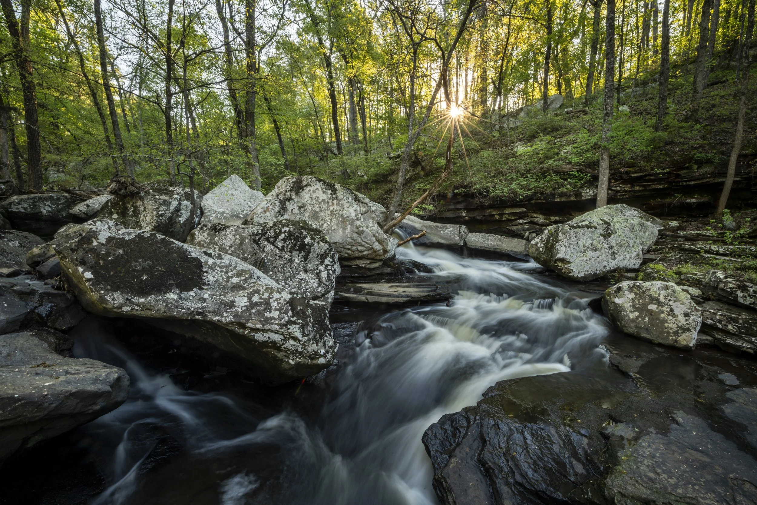 Guided Hiking Tours in the Ozarks — 37 North