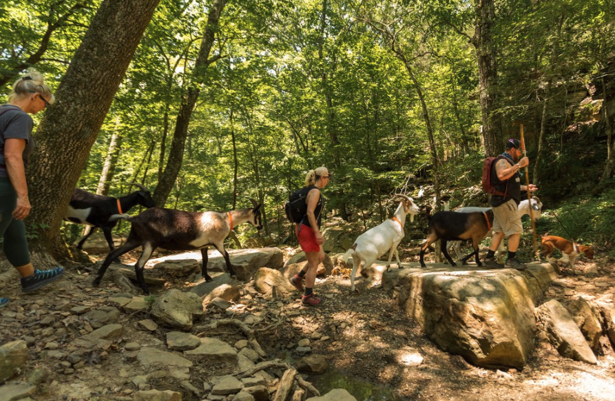 37 North Expeditions – Guided Outdoor Experiences