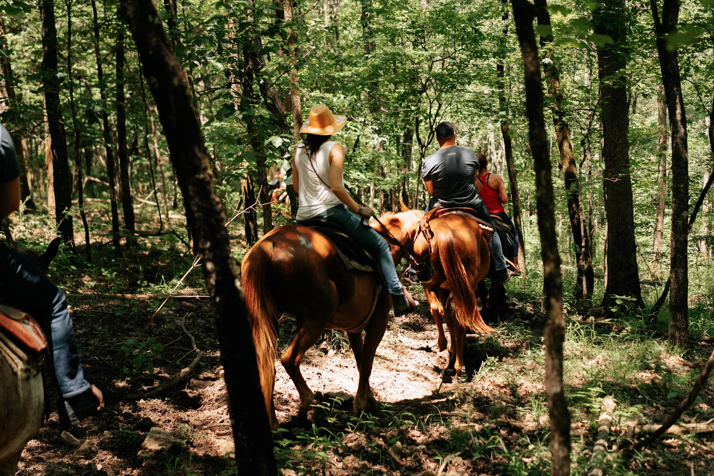 Horseback Riding — 37 North