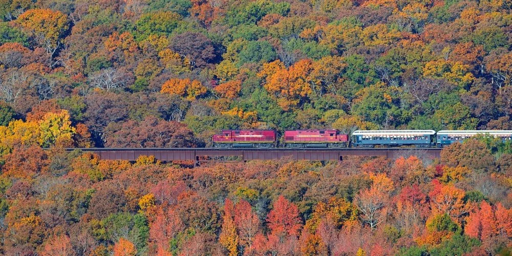(SOLD OUT) Fall Foliage Train Ride + Photo Op Rare Mileage — 37 North