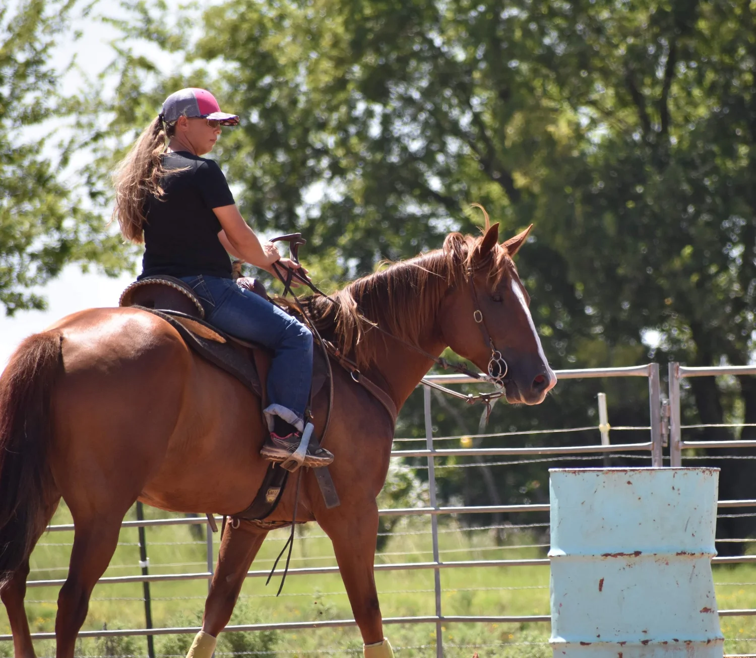 Rebel Barrel & Performance Horses