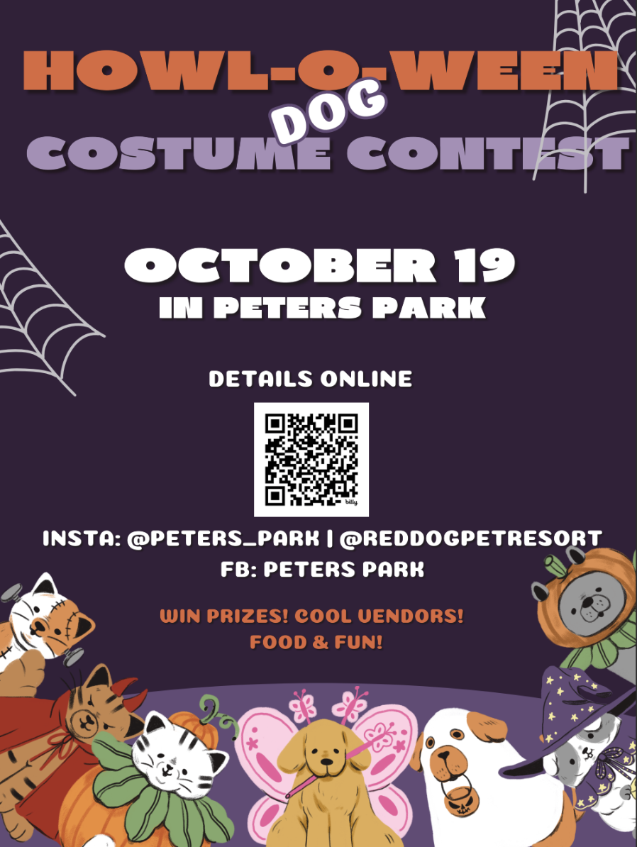 Upcoming Dog-Friendly Events | Boston Dog Moms Activities ...