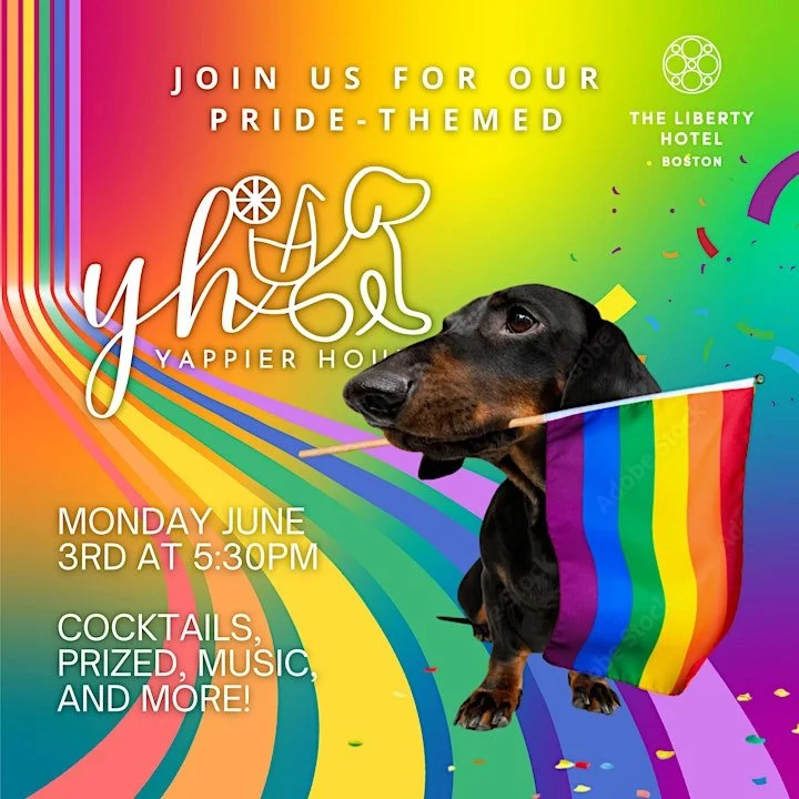Upcoming Dog-Friendly Events | Boston Dog Moms Activities ...