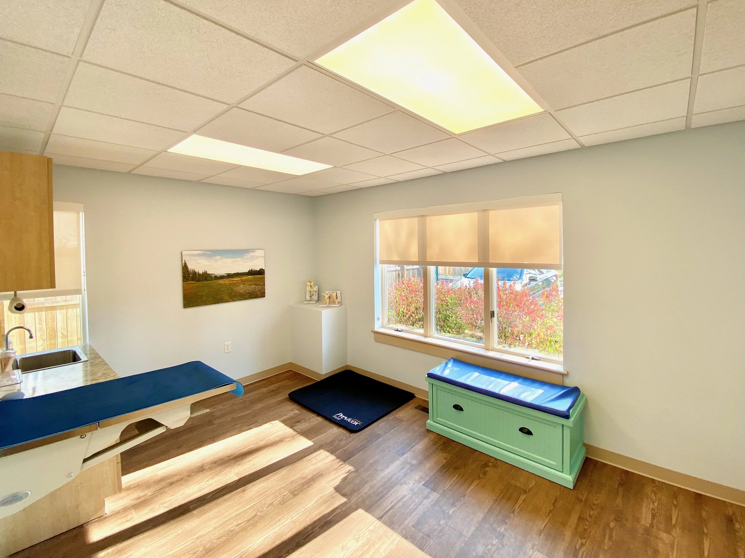 Metropolitan Veterinary Associates — RHJ Associates P.C.