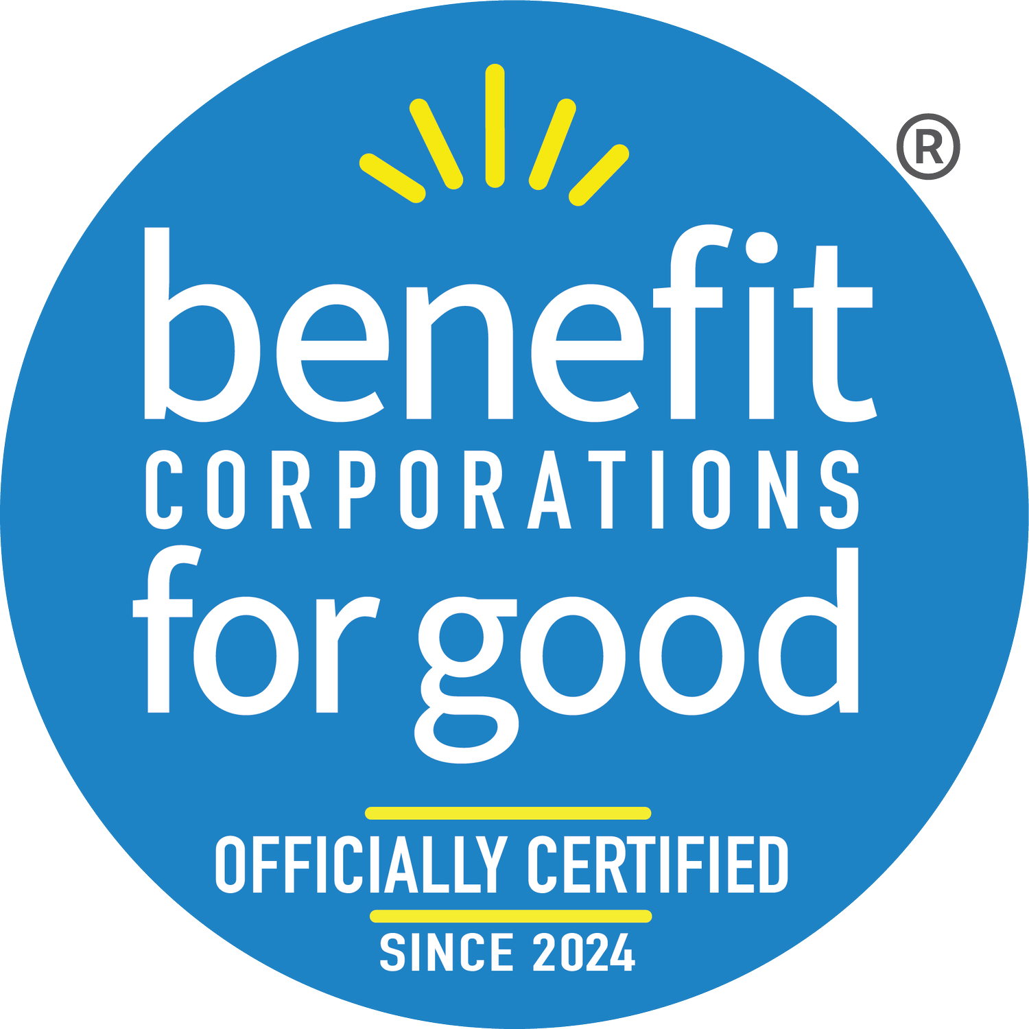 Business for Good: What It Means and How to Do It — Narwhal Law and ...