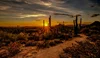 Phoenix Community Acupuncture