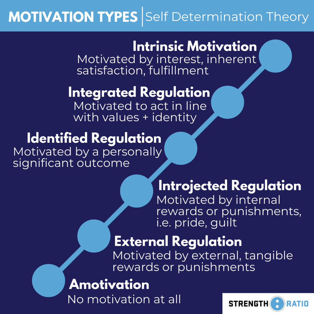 Episode 57: Dr. Lisa Lewis on the Mechanics of Motivation — Strength ...