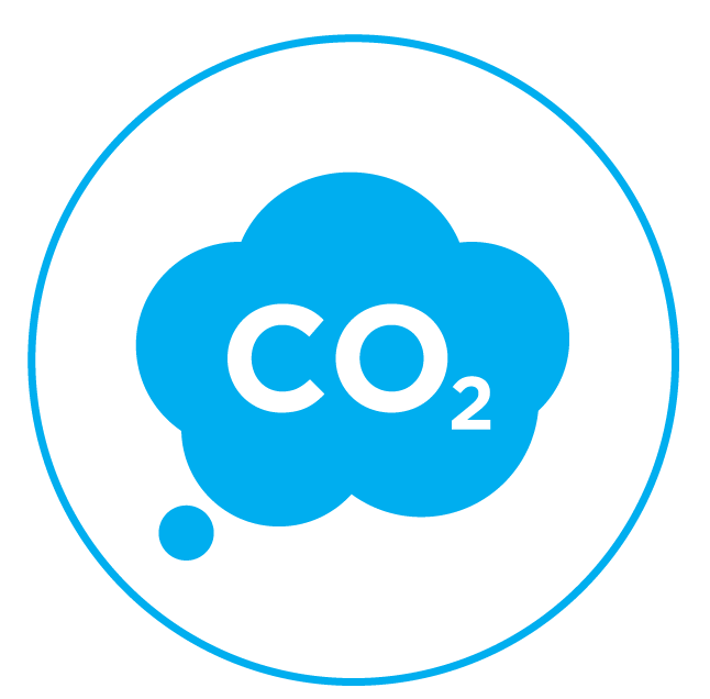 Bridgeport Ethanol CCS Project — Carbon America