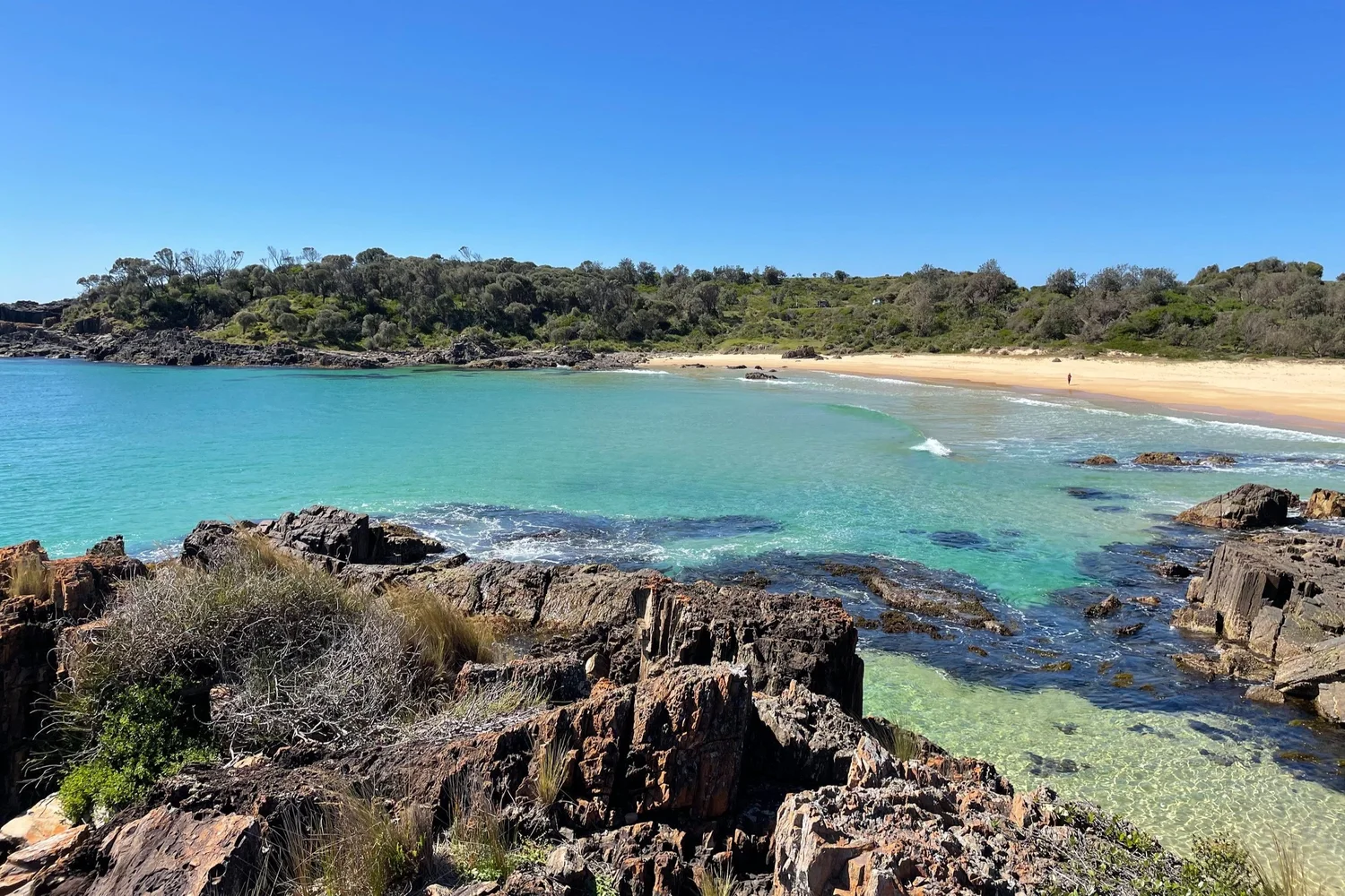 15 of the best south coast walks in NSW that you should try | EP.