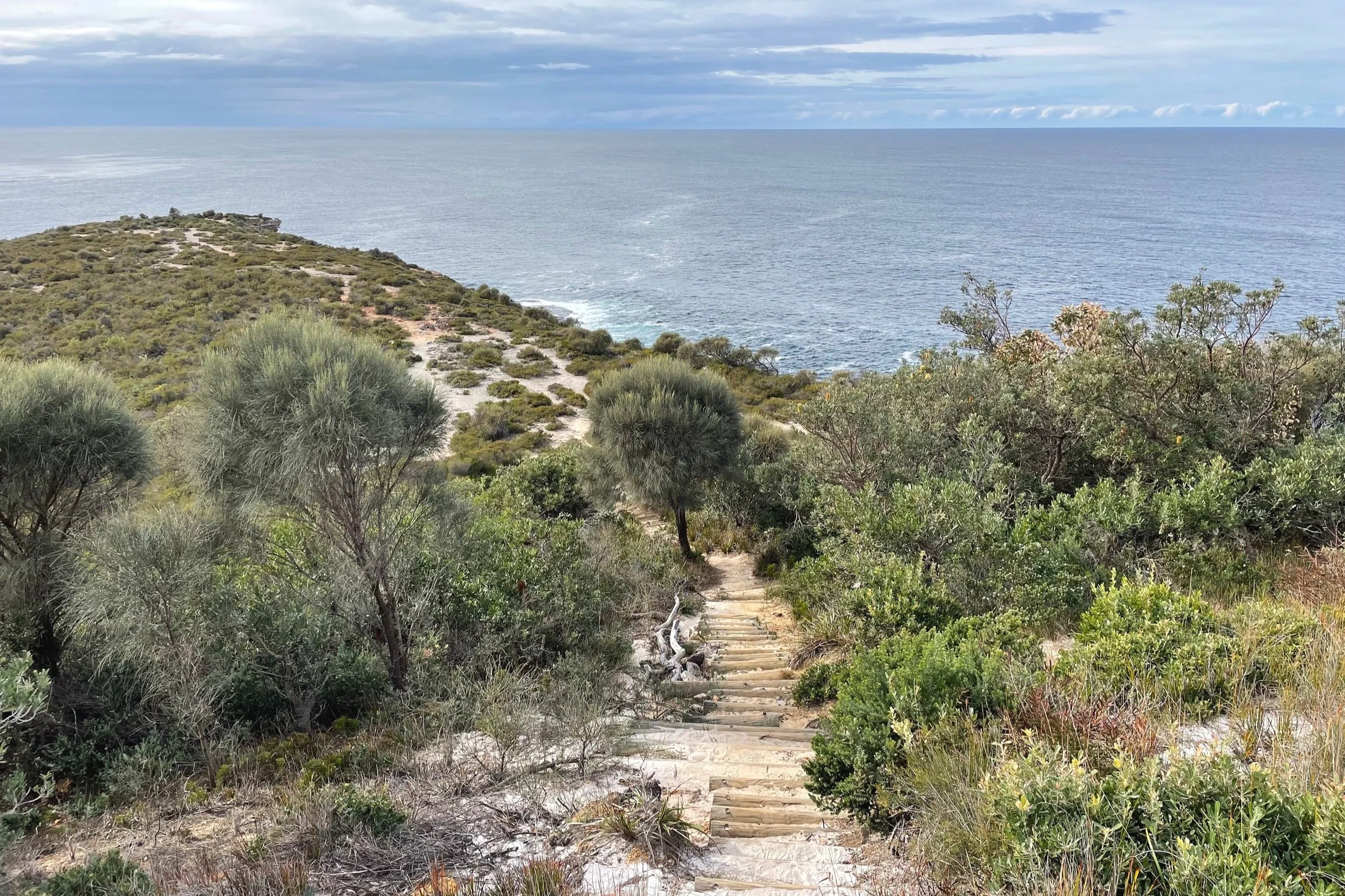15 of the best south coast walks in NSW that you should try | EP.