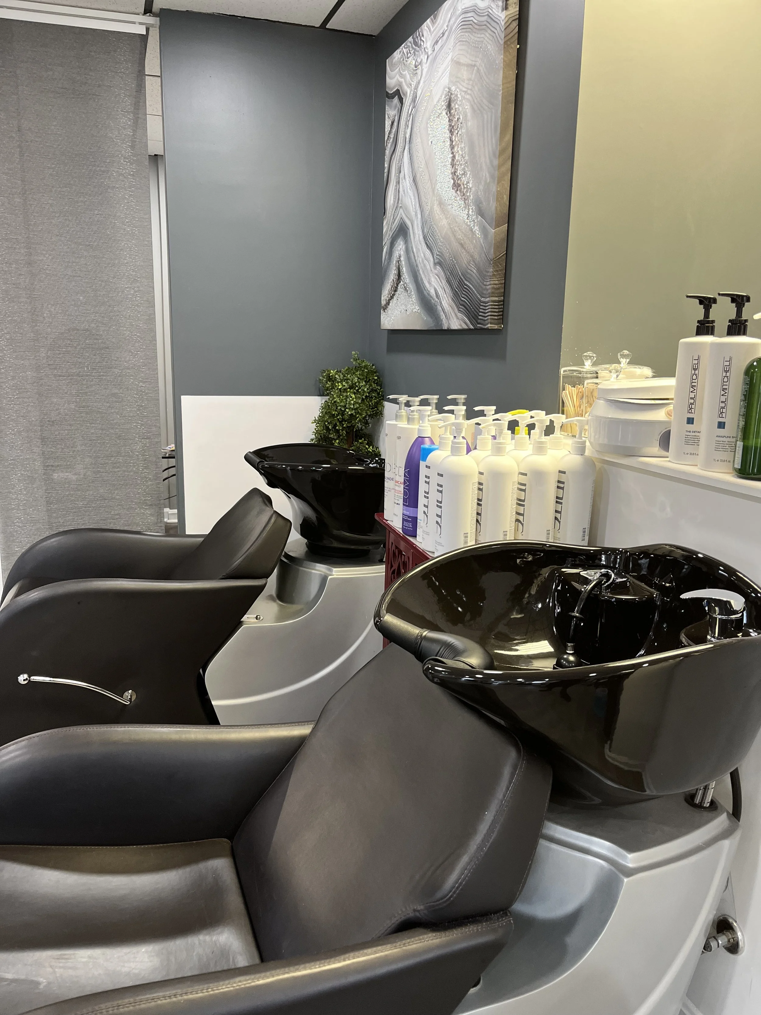 Back to Our Roots Salon