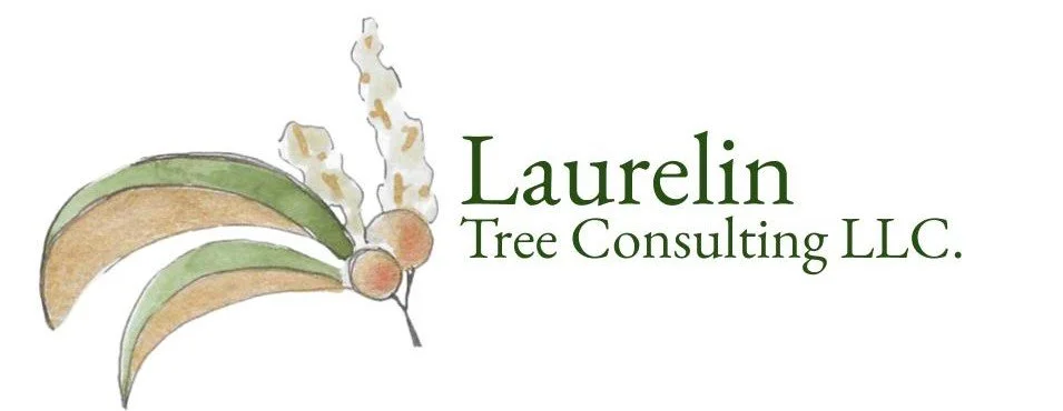 Laurelin Tree Consulting LLC.