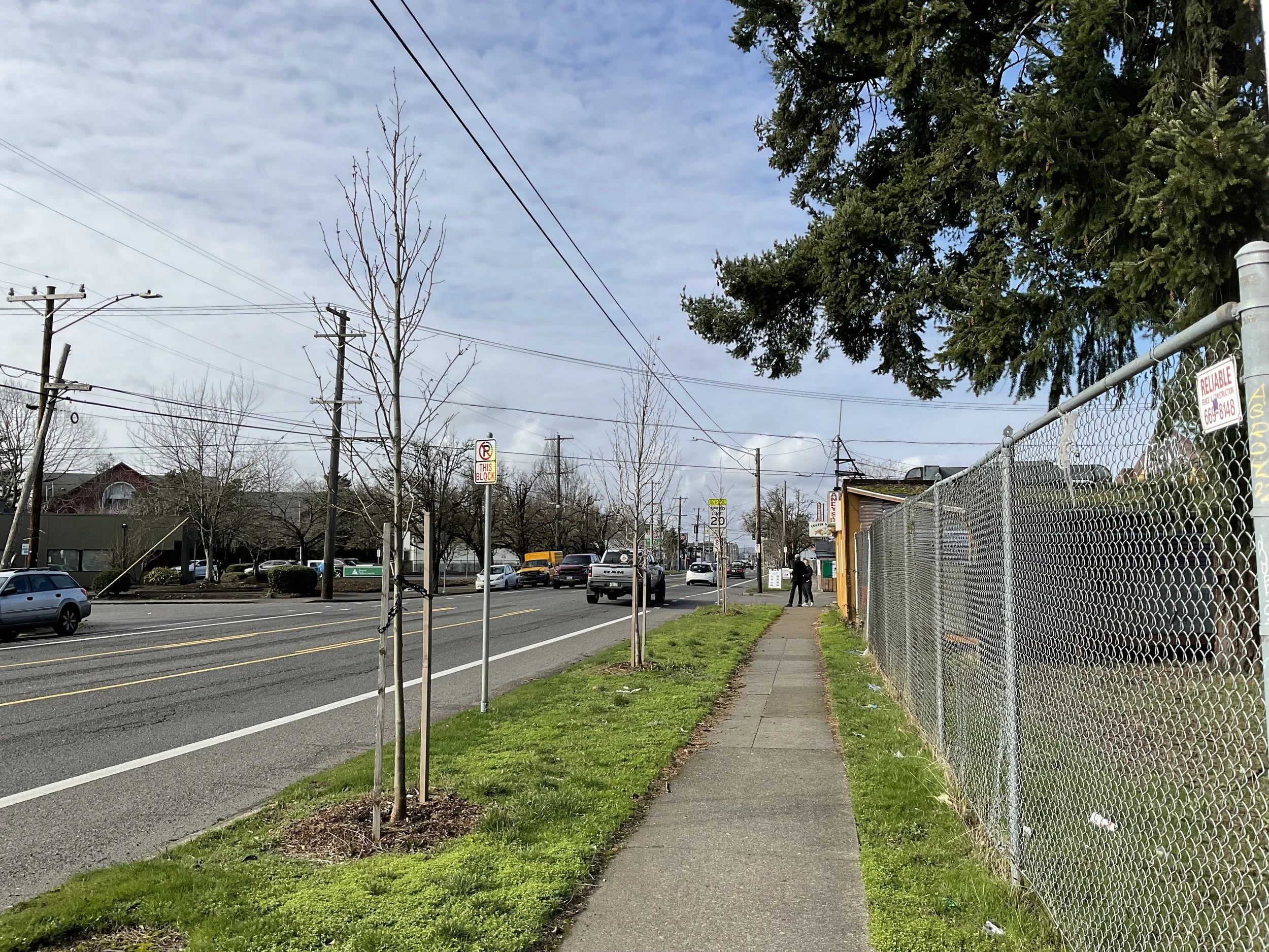 Consulting Arborist Projects Across The Portland, Oregon Metro Region ...