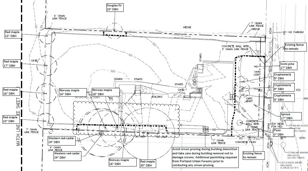 Consulting Arborist Tree Protection Plans for Development in the ...