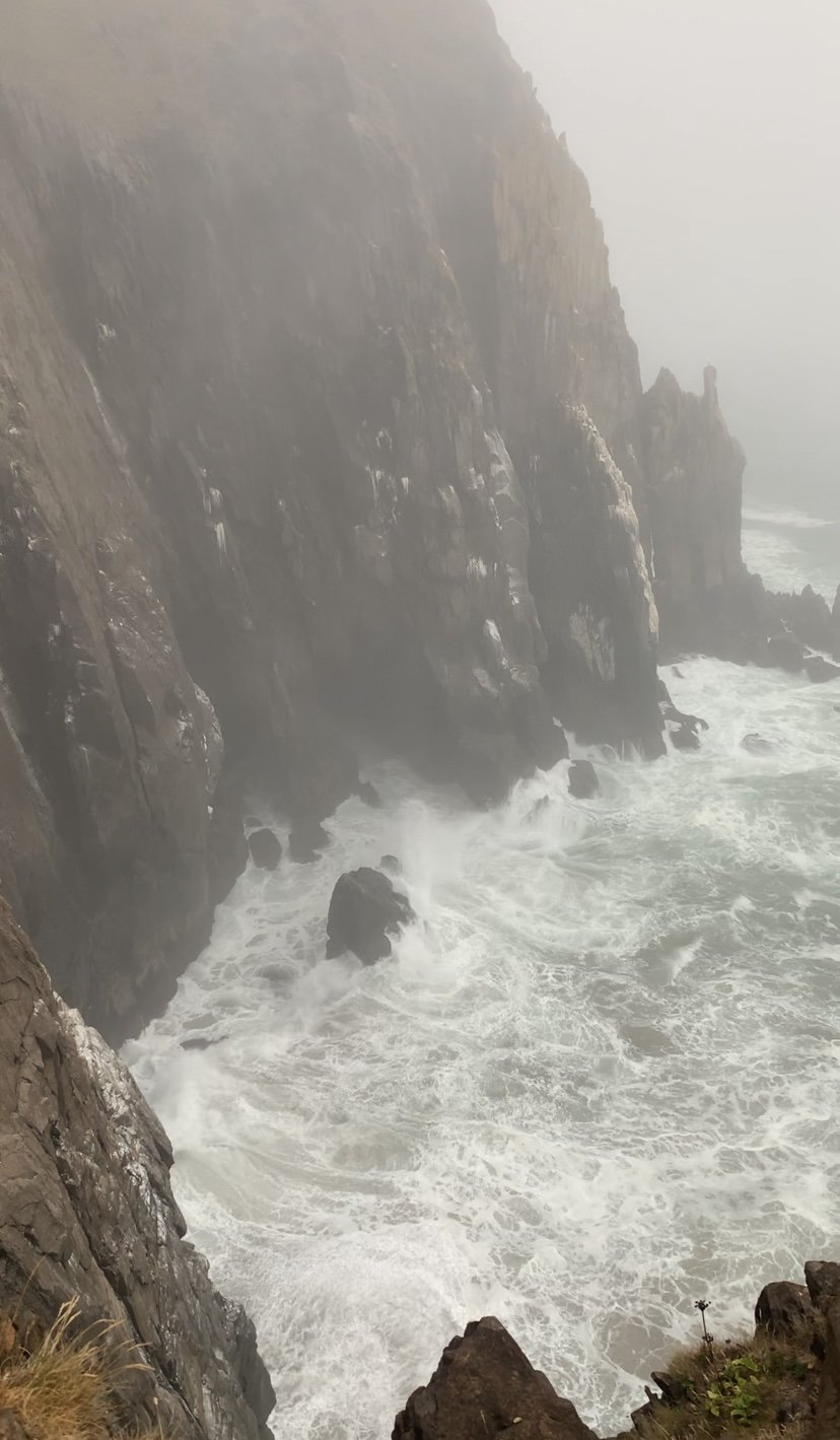 Seasonality of Shellfish Foraging on the Oregon Coast — Shifting Tides