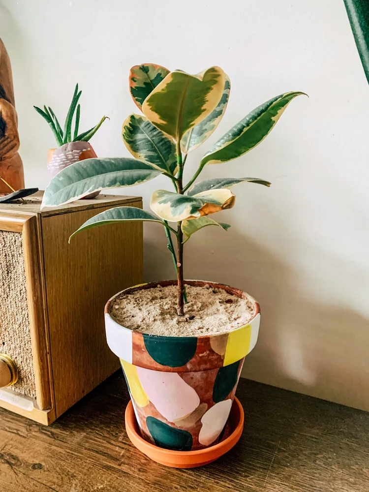 16 Creative Craft Ideas for DIY Magic