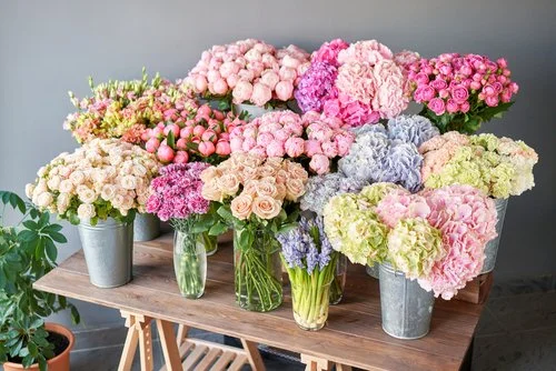How to Design a Stunning Formal Flower Garden