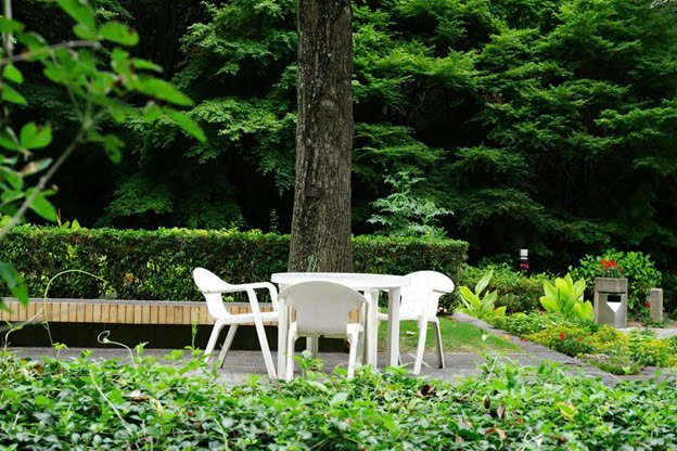 Transform Your Home: How Greenery Enhances Indoor and Outdoor Spaces