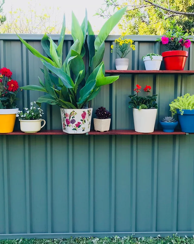 6 Ways to Use Colorbond Fence Panels to Protect and Enhance Your Garden