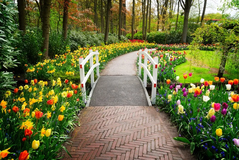 How to Design a Stunning Formal Flower Garden