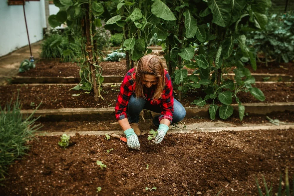 How Technology is Revolutionizing DIY Gardening Projects with Smart ...