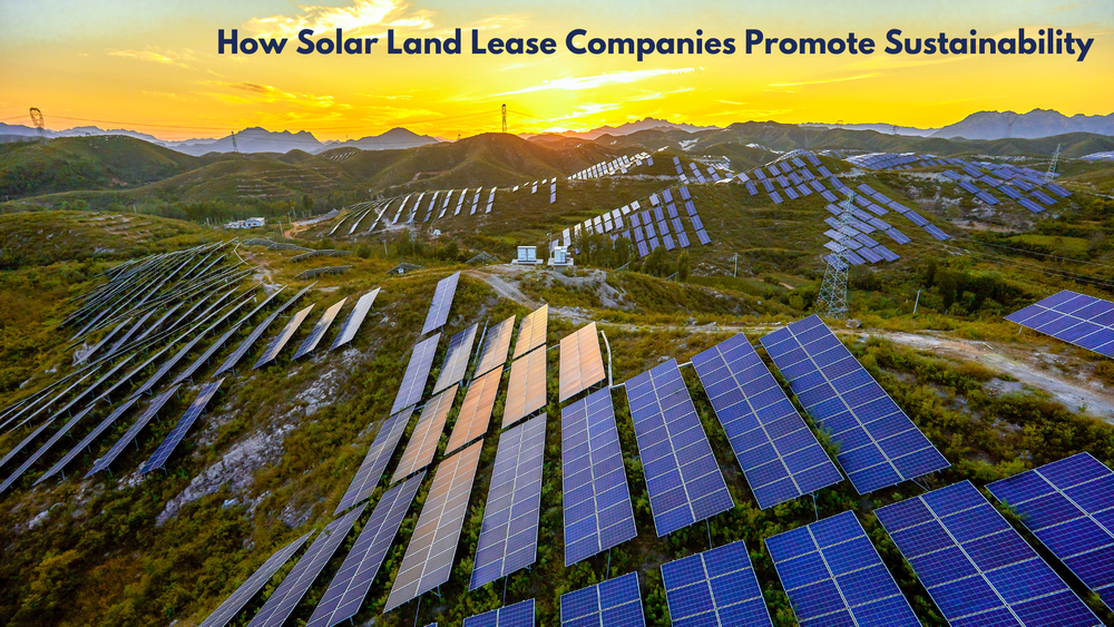 How Solar Land Lease Companies Promote Sustainability