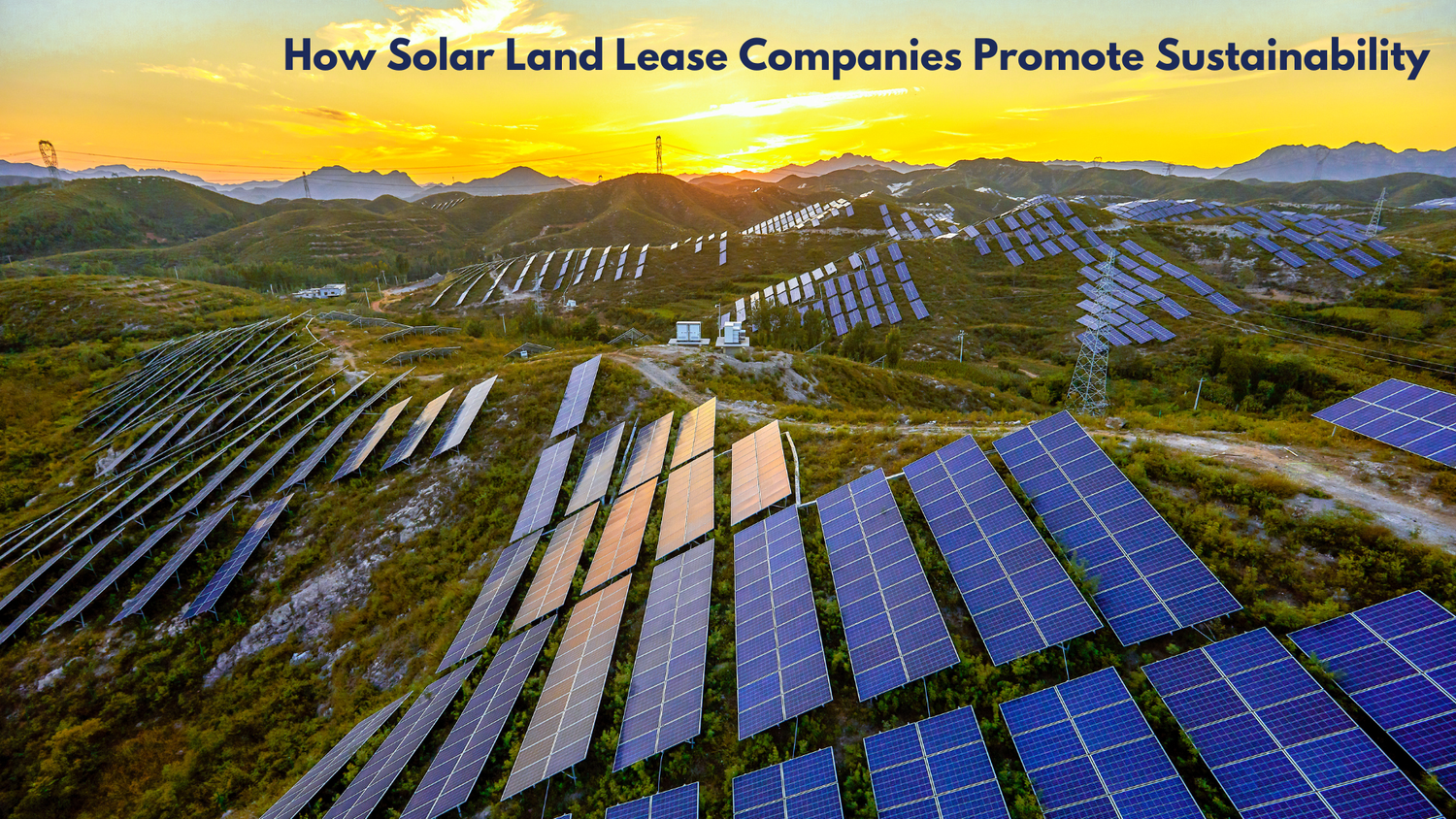 How Solar Land Lease Companies Promote Sustainability