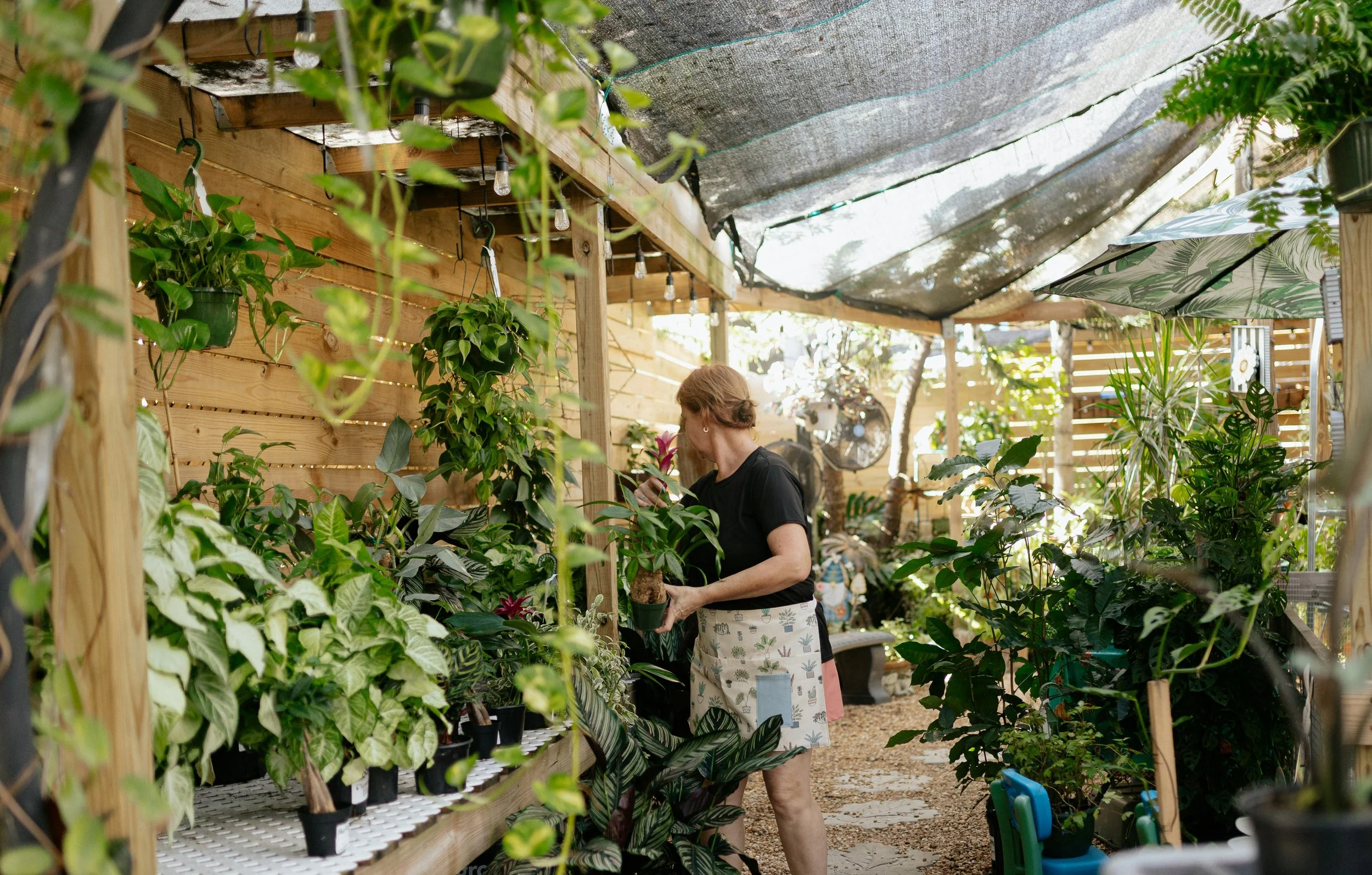 How to Create a Sustainable Home Garden: 2025 Guide
