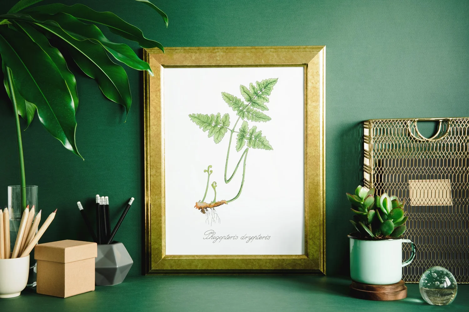 5 Ways to Incorporate Vintage Botanical Art into Your Interior Design