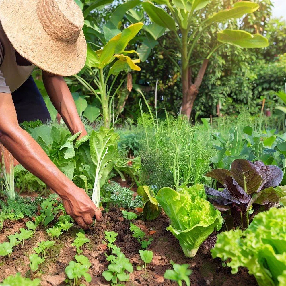 Living Green, Living Better: Embrace the Power of Sustainable Living