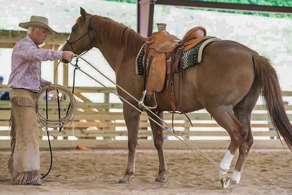 About Us — Scott Stokes Horsemanship