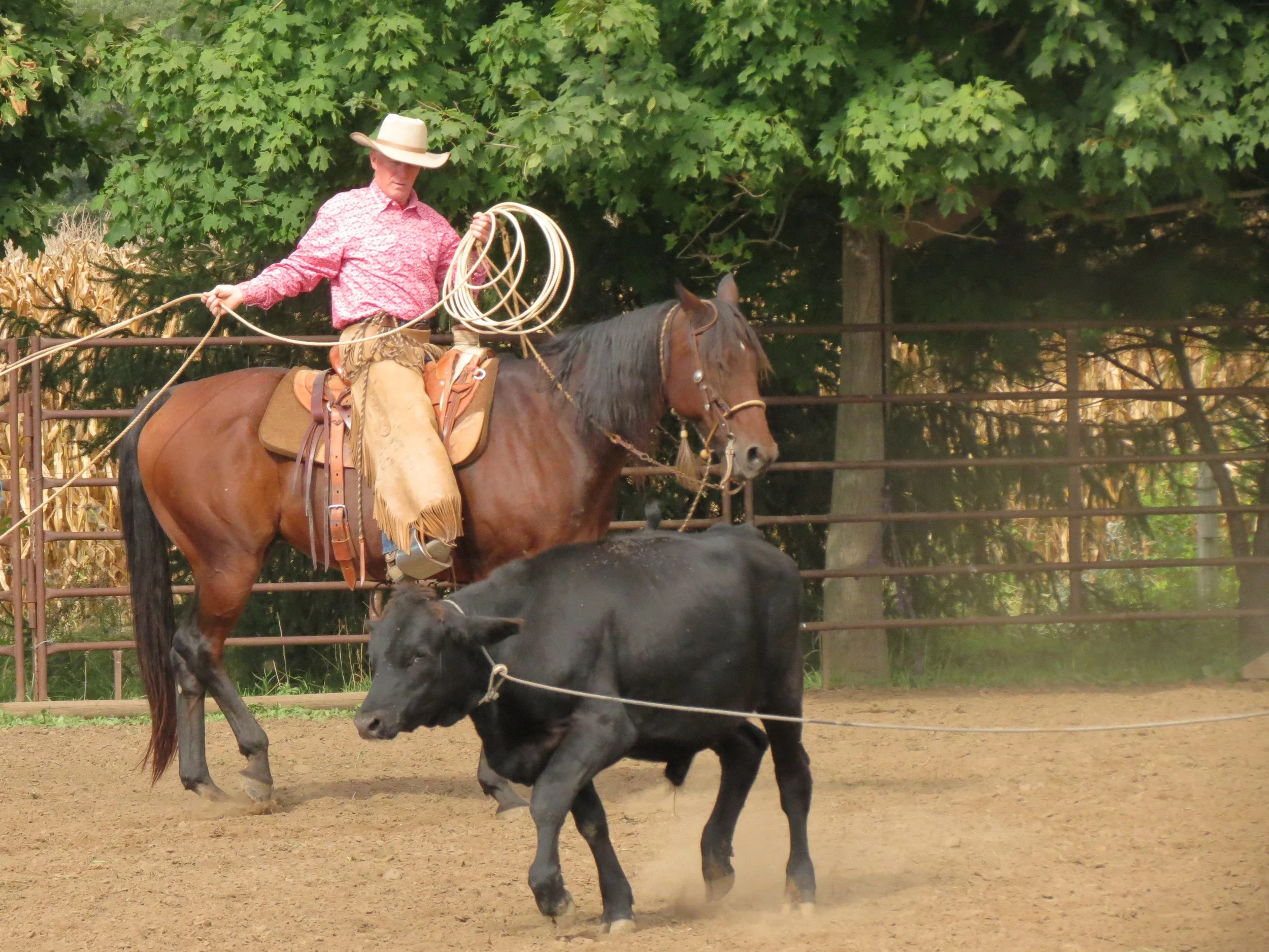 About Us — Scott Stokes Horsemanship