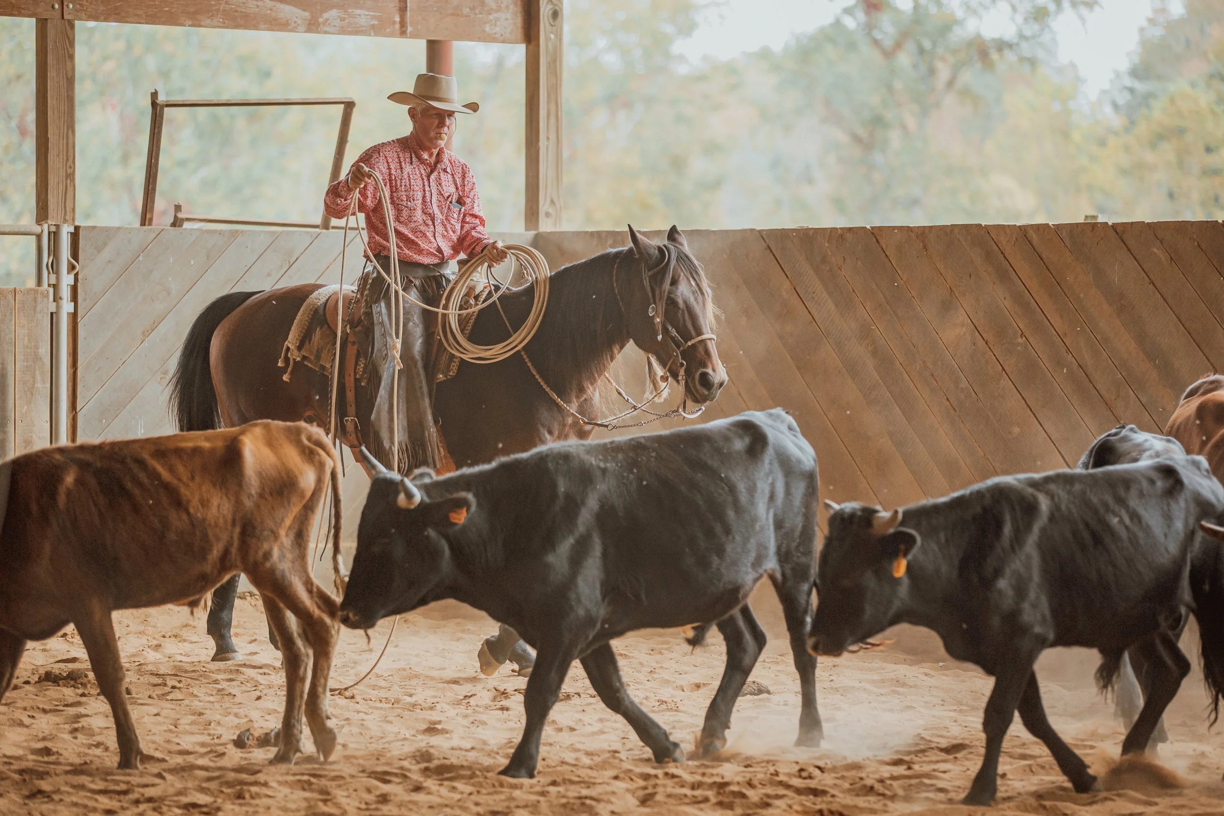 Scott Stokes Horsemanship