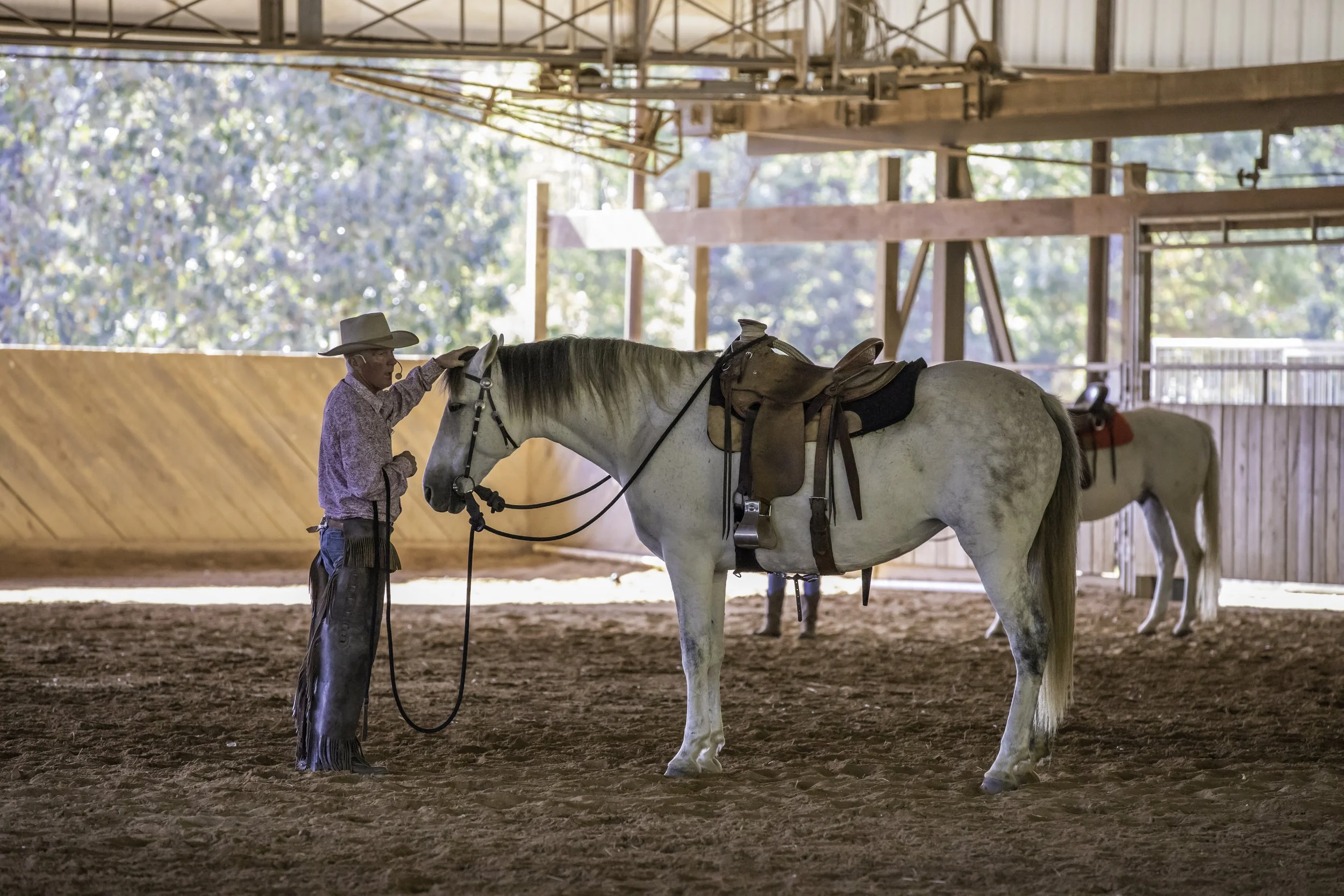 Clinics — Scott Stokes Horsemanship