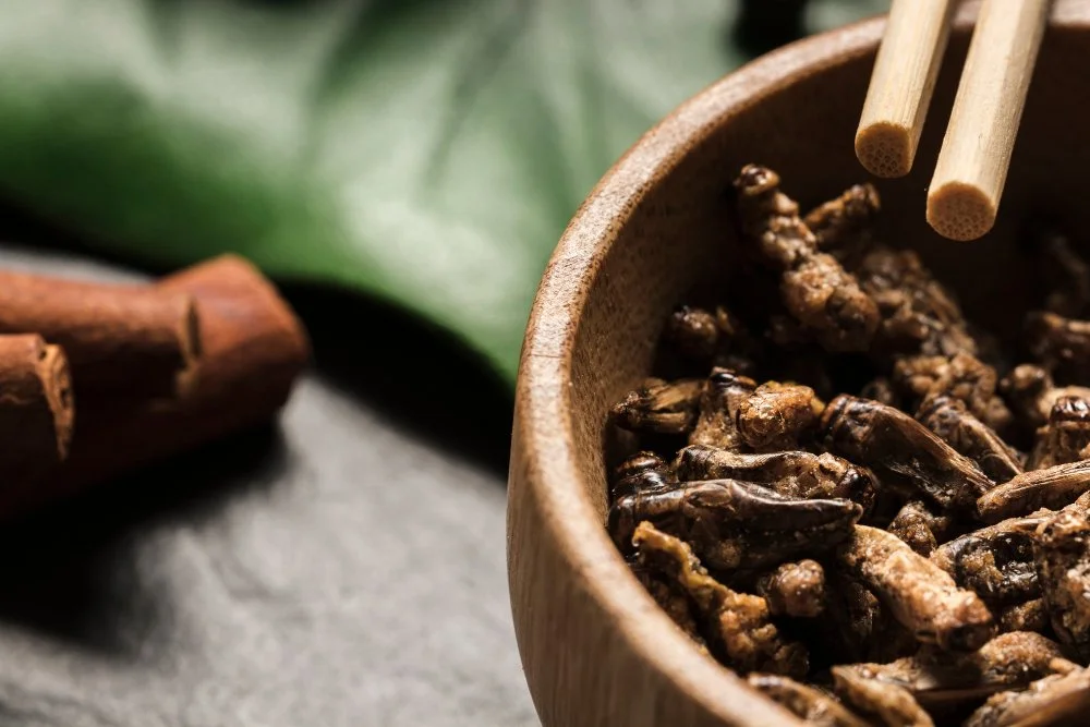 Discover Root Functional Medicine For Holistic Wellness
