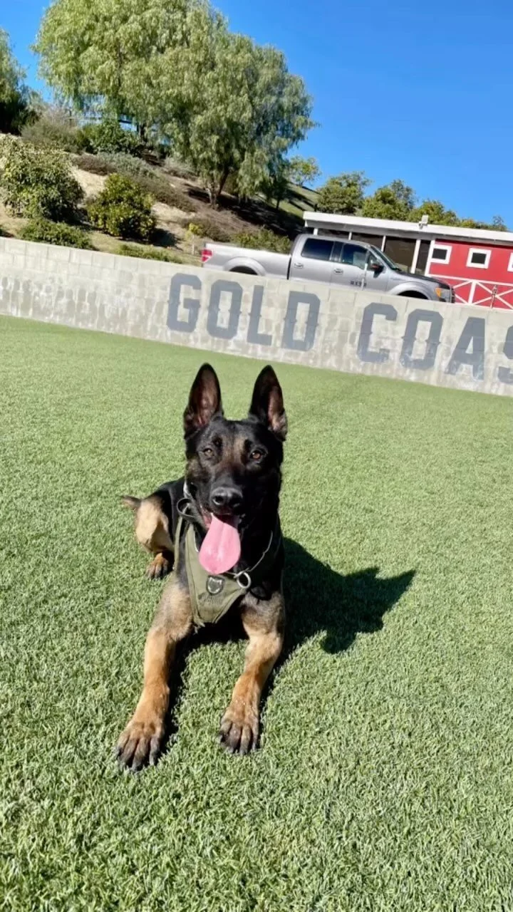 Ventura County Sheriff's K9 Foundation
