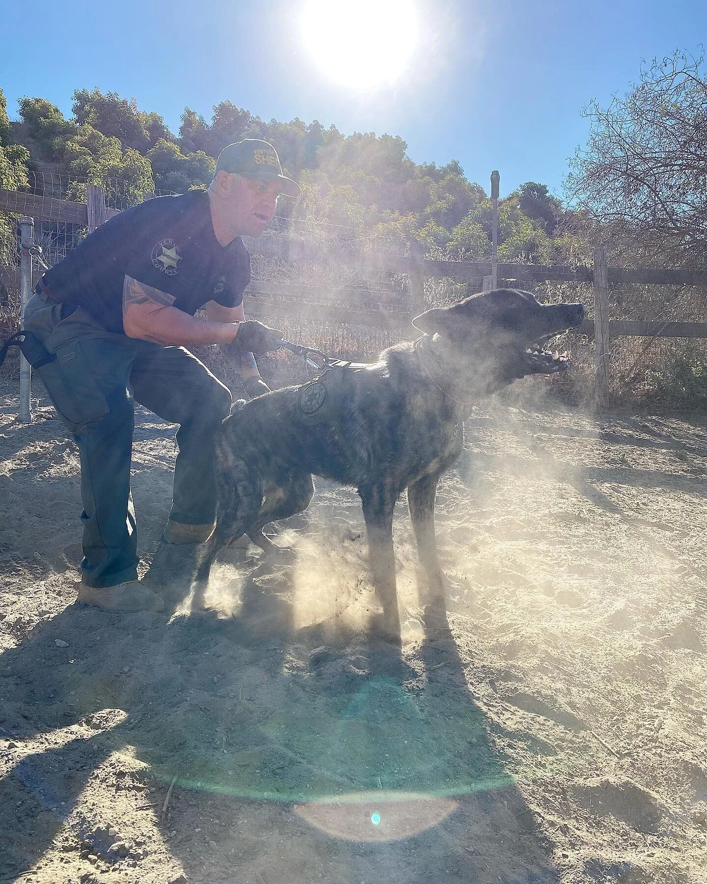 K9 Danny & Deputy Castaneda — Ventura County Sheriff's K9 Foundation
