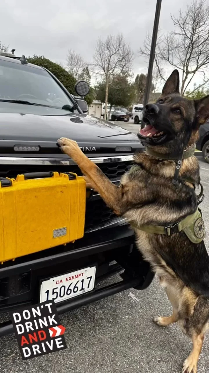 Ventura County Sheriff's K9 Foundation