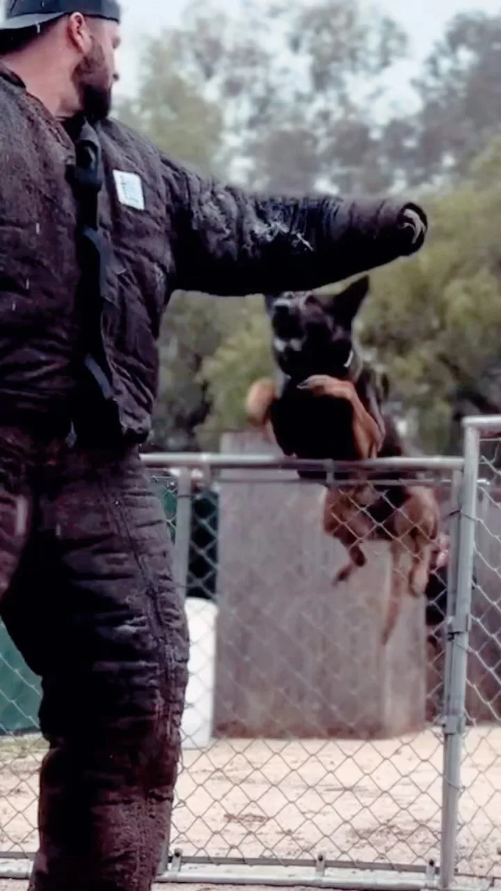 Ventura County Sheriff's K9 Foundation